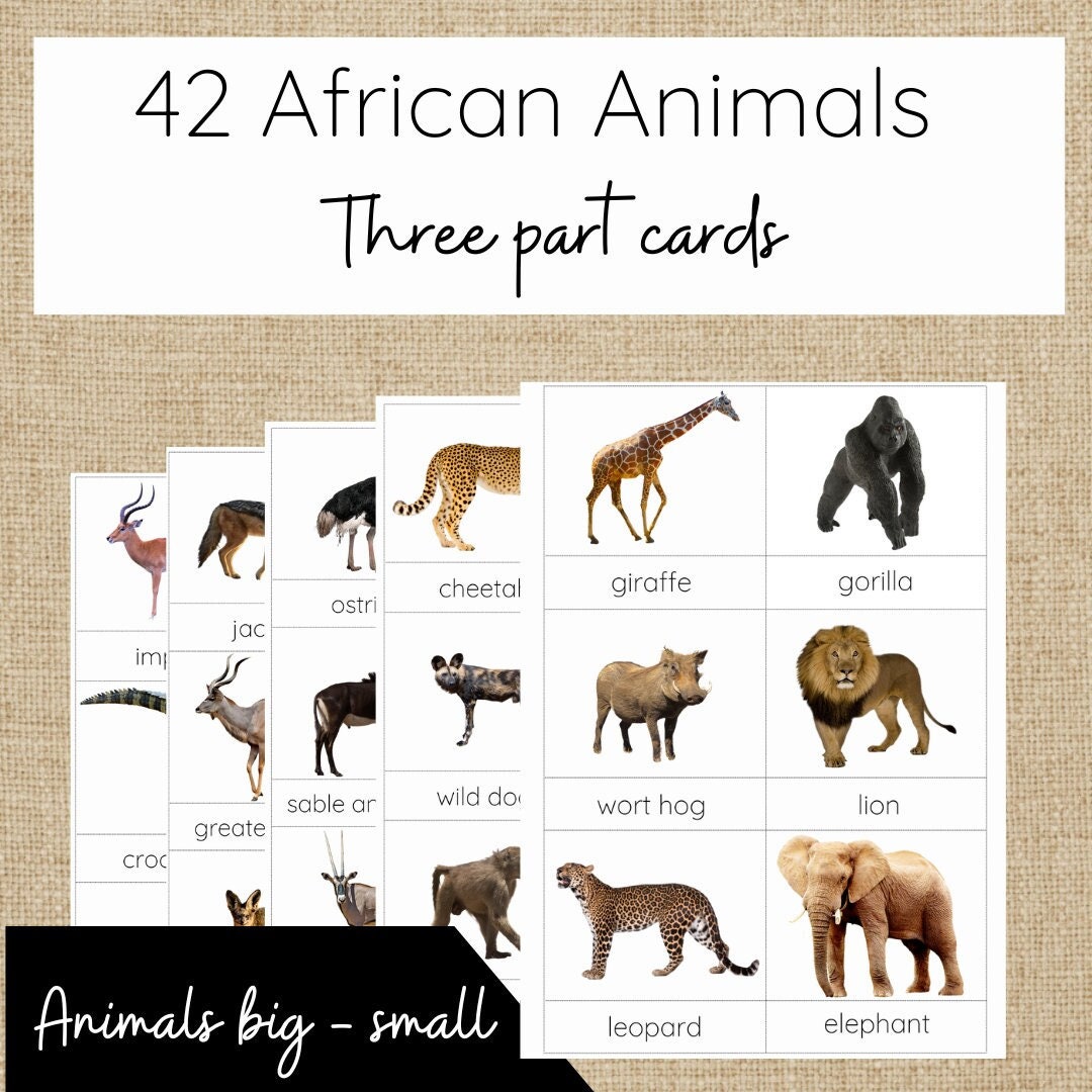40 African Animals - Etsy