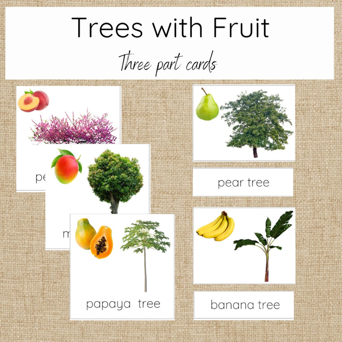 Types of Fruit Trees - Etsy