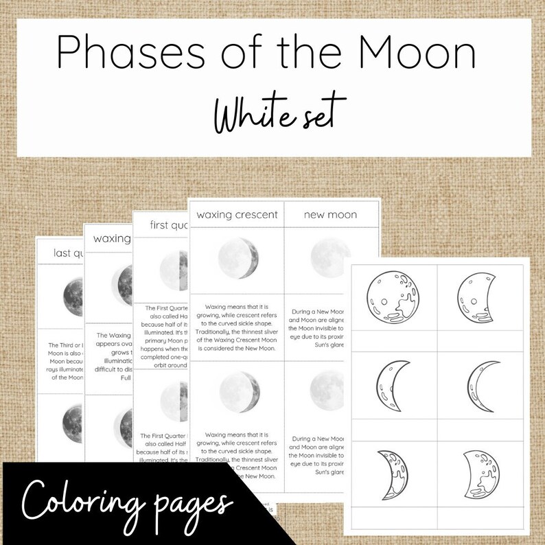 Phases of the Moon - Etsy