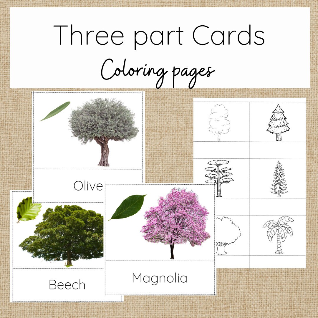 30 Types of Trees and Leaves - Etsy