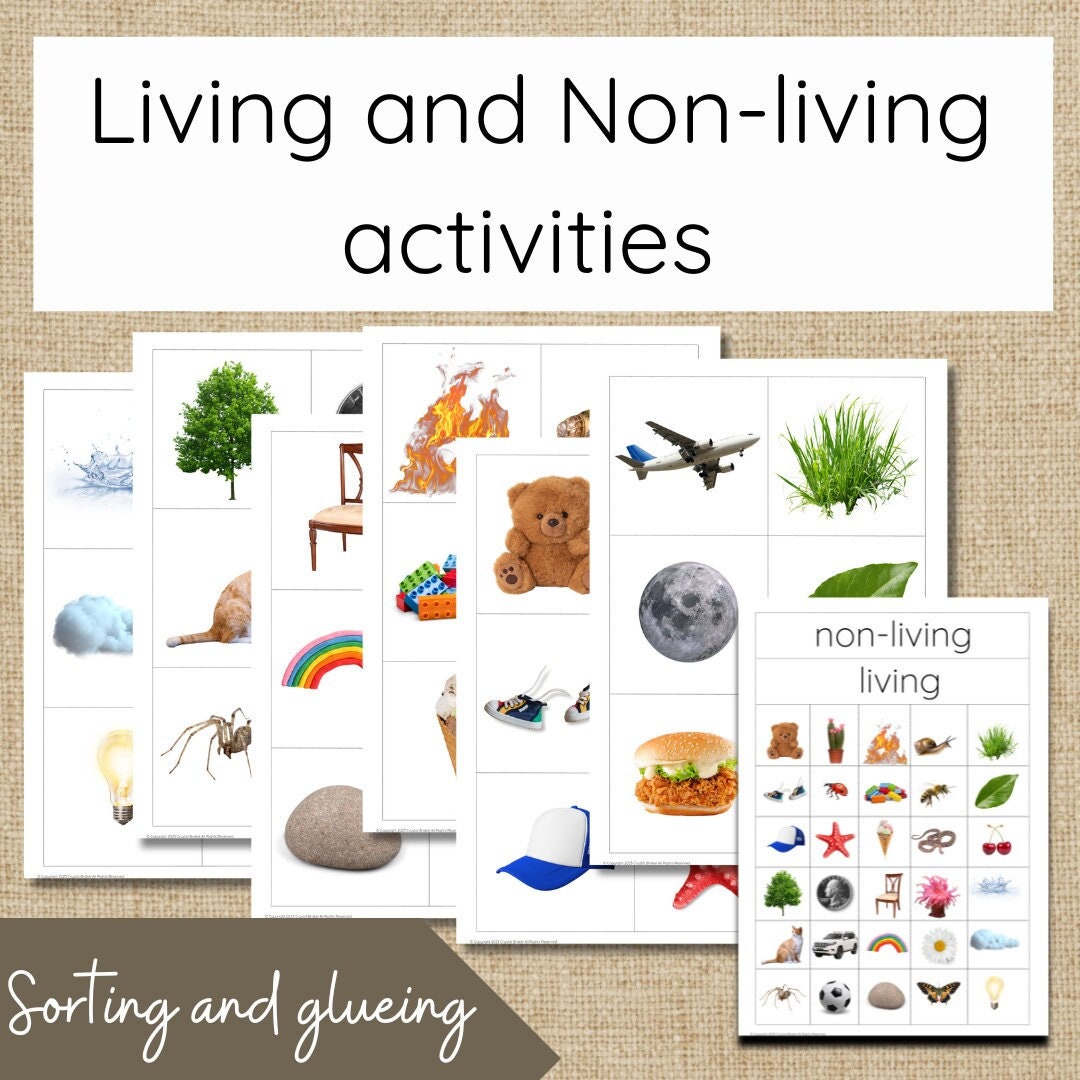 Living and Non-living Activities - Etsy