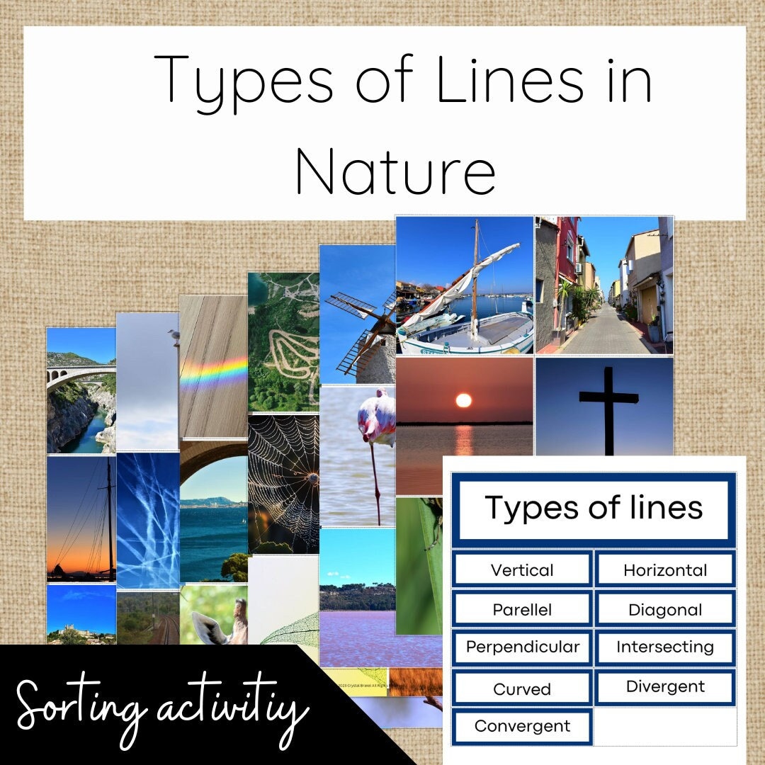 Types of Line in Nature - Etsy