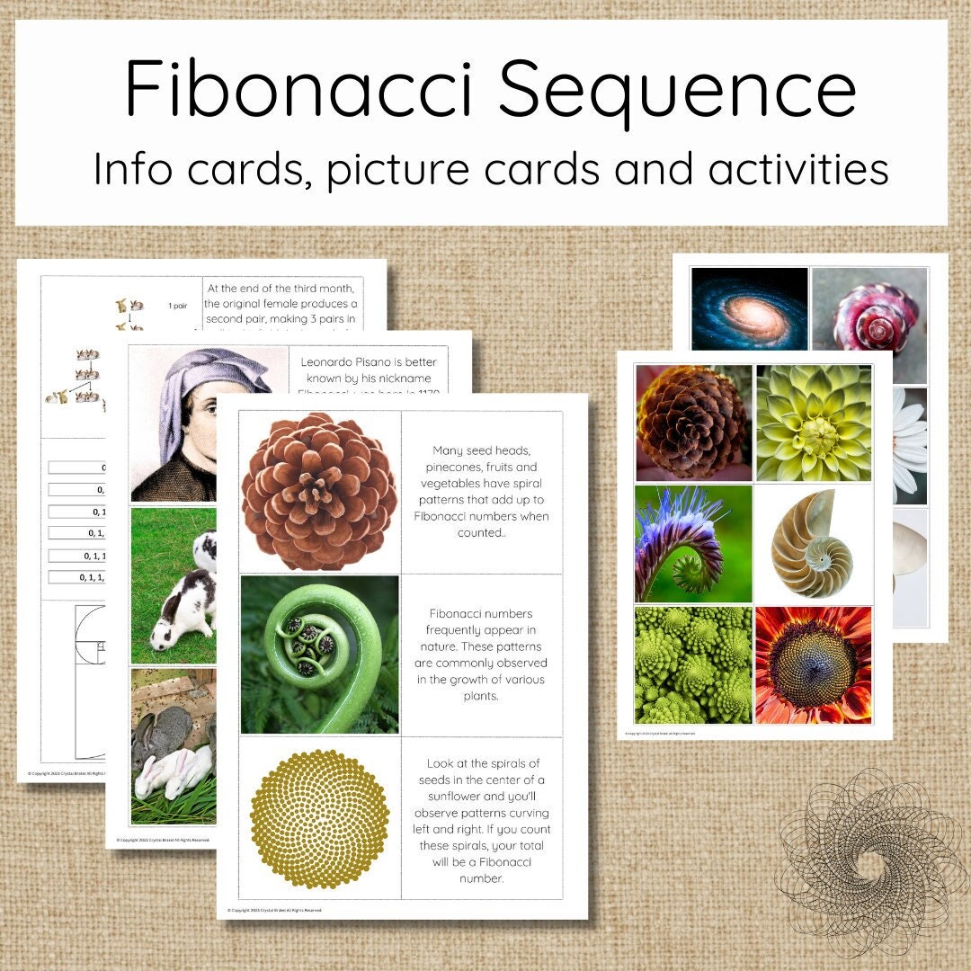 Fibonacci Sequence Unit - Etsy