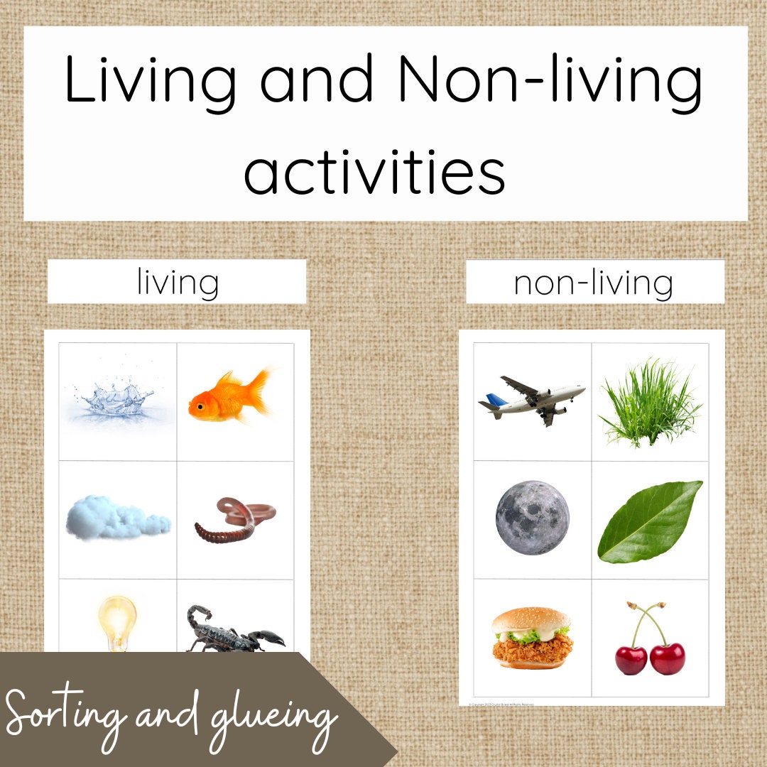 Living and Non-living Activities - Etsy