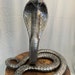 Life Size Metal Cobra Sculpture 12 Foot Long. - Etsy