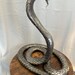 Life Size Metal Cobra Sculpture 12 Foot Long. - Etsy