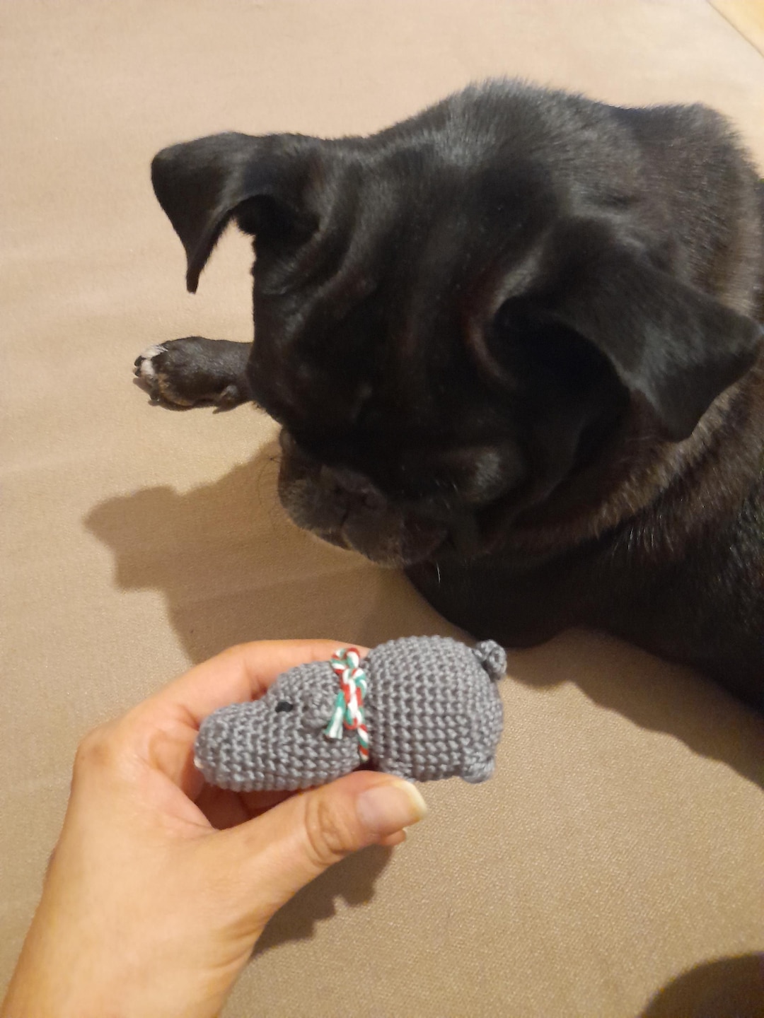 Handmade Tiny Crochet Moodeng Miniature Toy, Amigurumi Gift, Small ...
