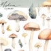 Watercolor Mushroom Clipart, Boho Mushroom Clipart, Mushroom Clip Art ...