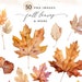 Watercolor Fall Leaves PNG Clipart, Watercolor Fall Leaves Clipart ...