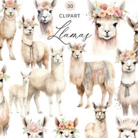 Buy Darling Llamas - Decorated Llama - Clipart - Alpaca Clip Art ...