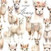 Watercolor Alpaca Clipart, Cute Llama PNG, Baby Alpaca Clipart, Llama ...