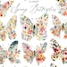 Painted Butterflies Clipart Spring, Boho Butterfly Clipart, Floral ...