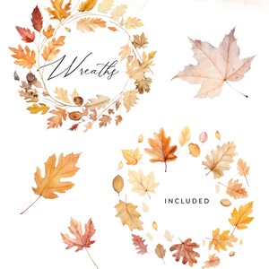 Watercolor Fall Leaves PNG Clipart, Watercolor Fall Leaves Clipart ...