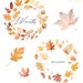 Watercolor Fall Leaves PNG Clipart, Watercolor Fall Leaves Clipart ...