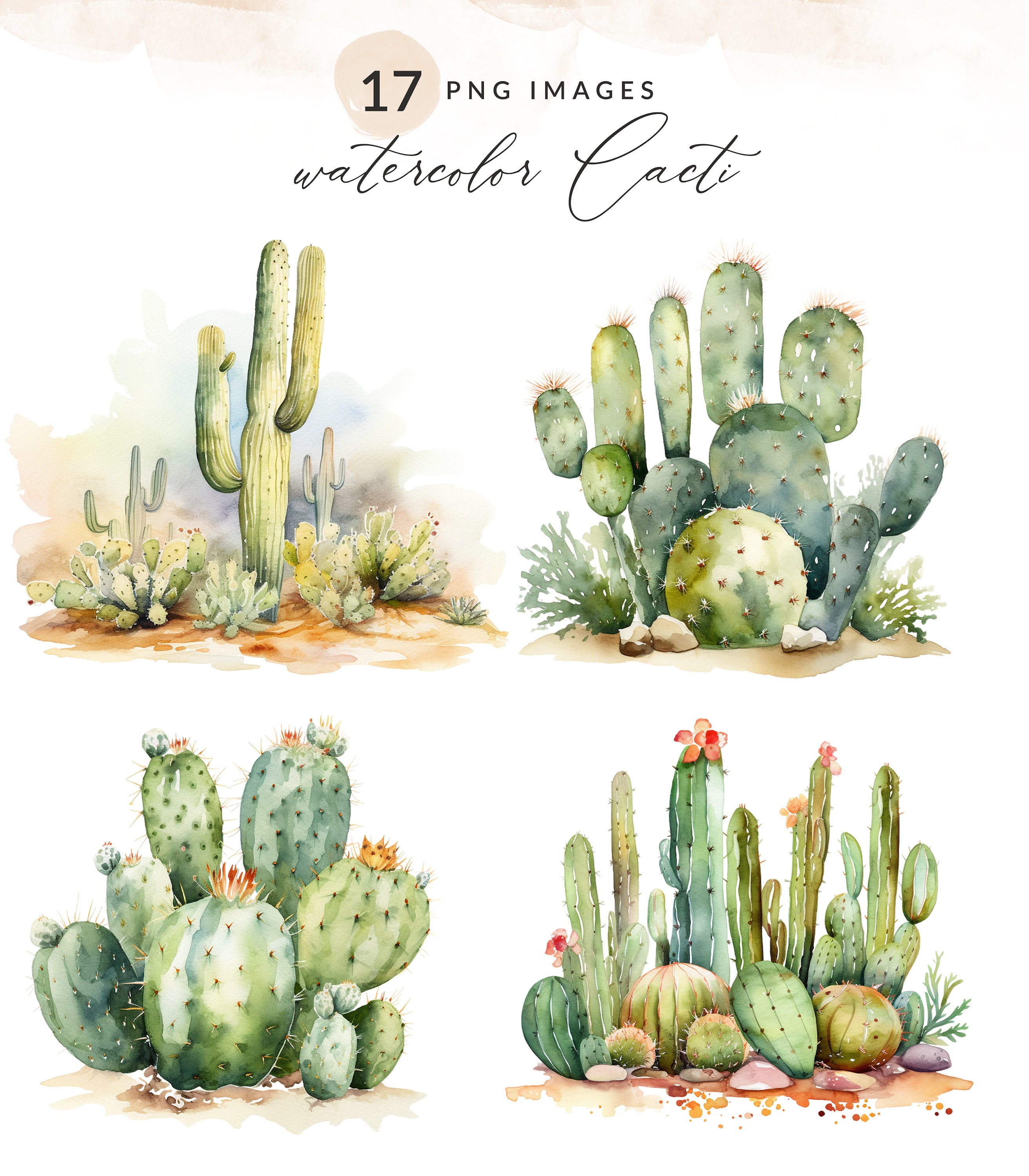Watercolor Desert Clipart, Painted Cactus Clipart, Watercolor Cactus ...