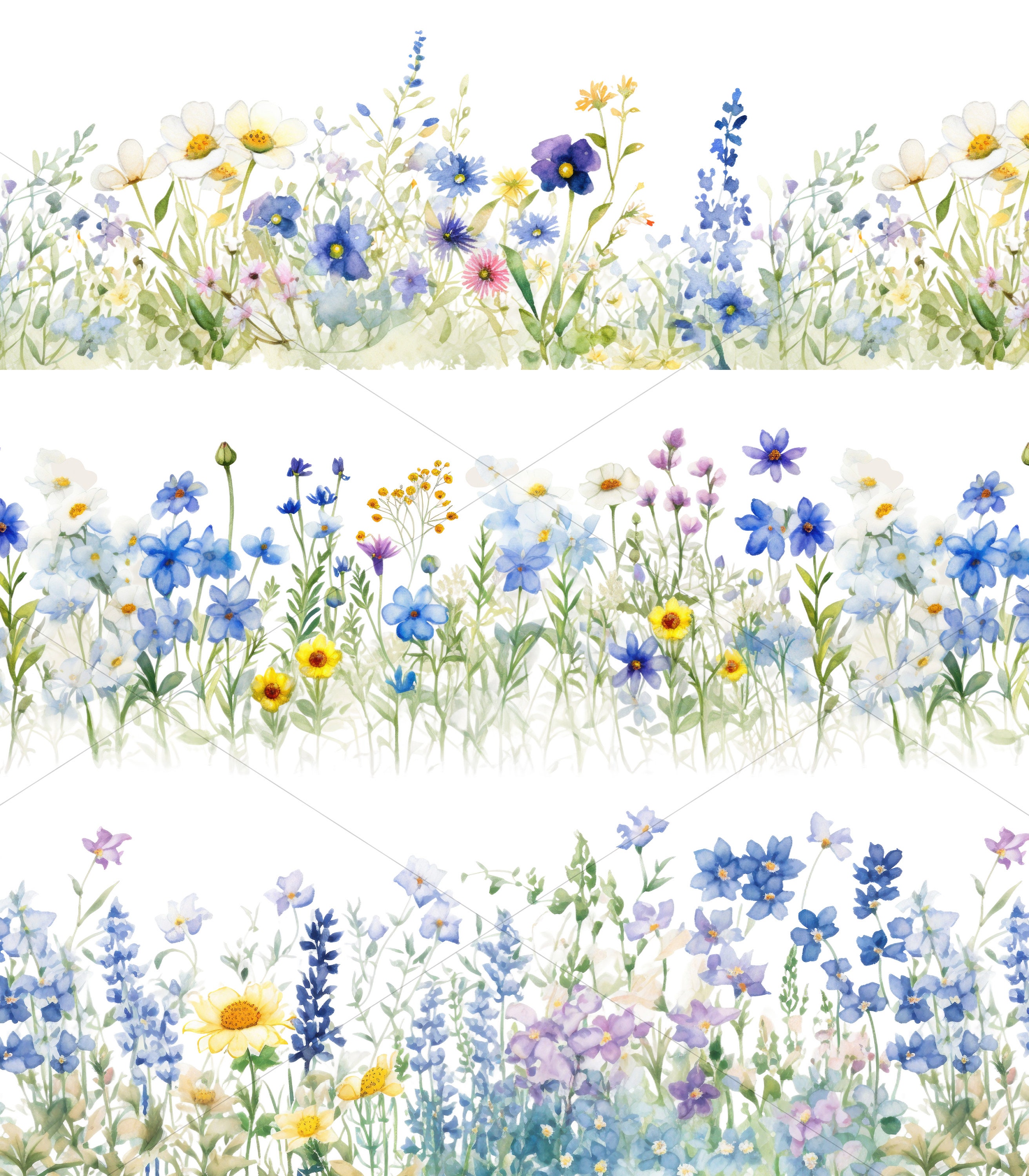 25 Seamless Meadow Borders, Blue Wildflower Borders, Seamless Blue ...