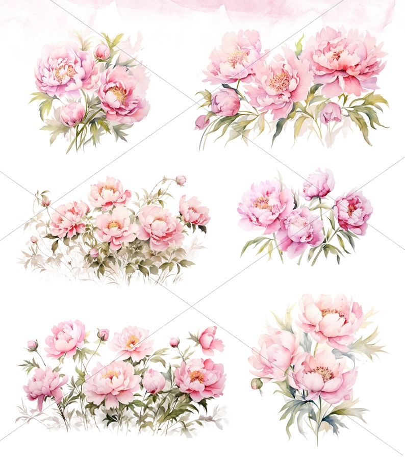 Watercolor Pink Peony Clipart Peony Frames and Peony Borders Clipart ...