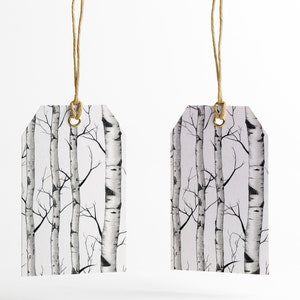 Birch Tree Seamless Pattern White Trees Aspen Tree Pattern Background ...