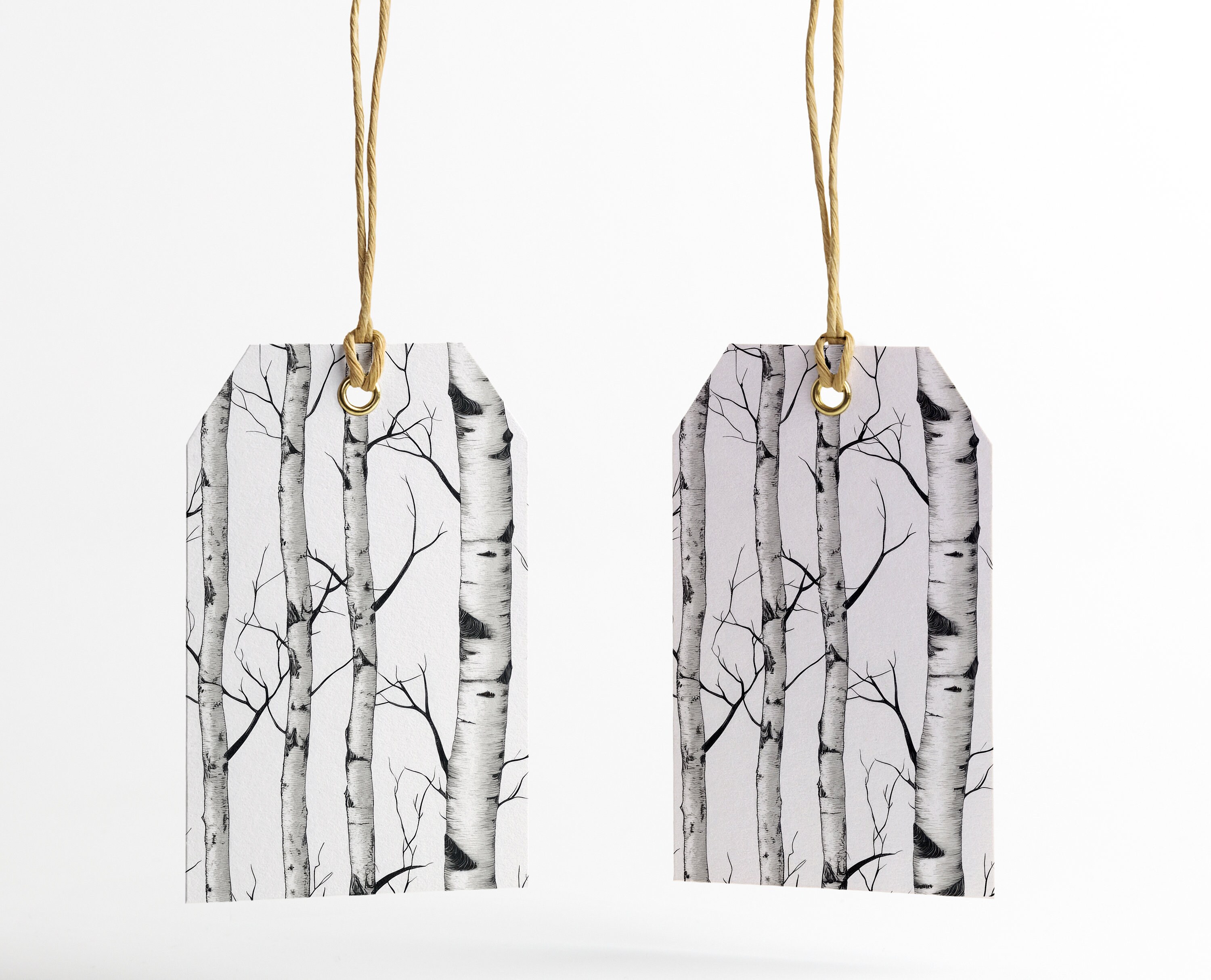 Birch Tree Seamless Pattern White Trees Aspen Tree Pattern Background ...