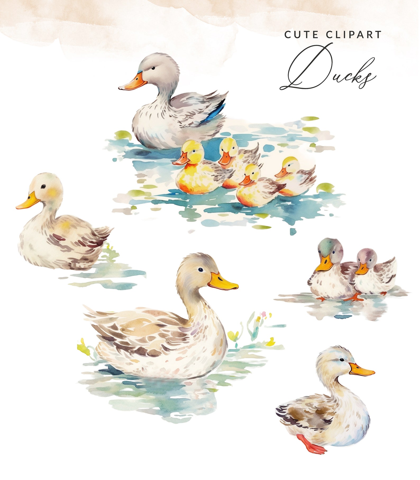 Cute Watercolor Ducks Clipart, Painted Ducks PNG, Duck Clipart, Duck ...