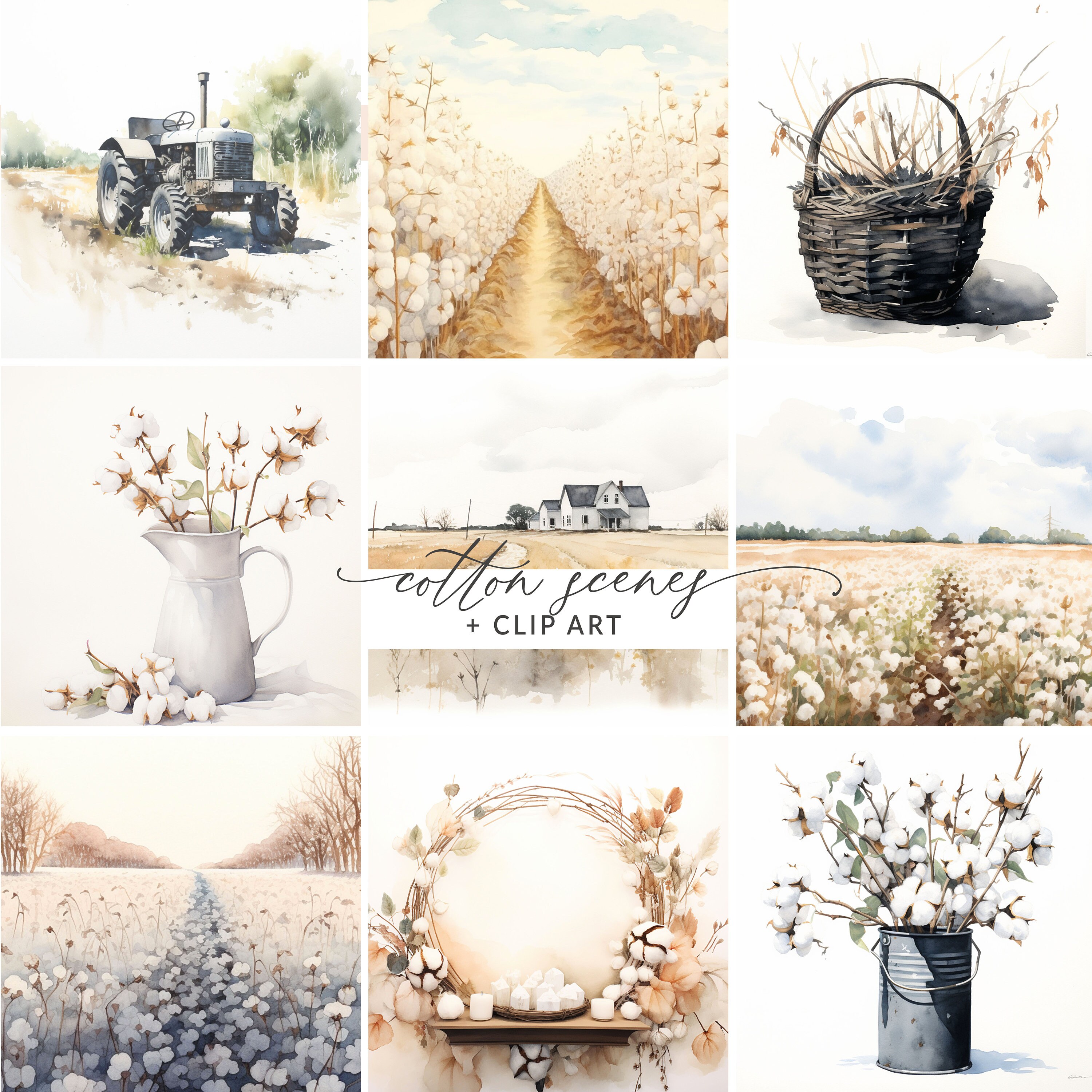 Cotton Clipart and Cotton Field Backgrounds, Watercolor Cotton Clip Art ...