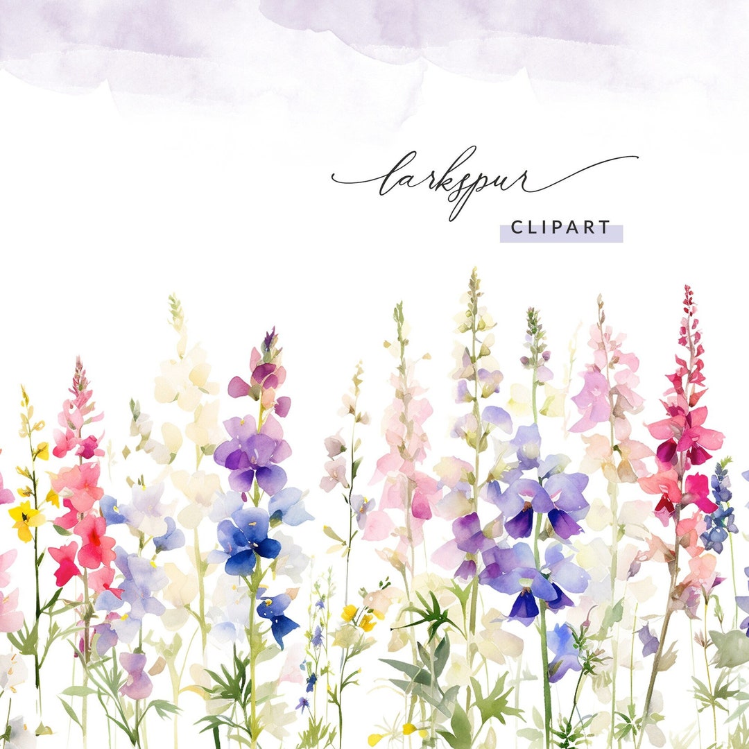 Spring Watercolor Larkspur Clipart, Watercolor Larkspur Clip Art ...