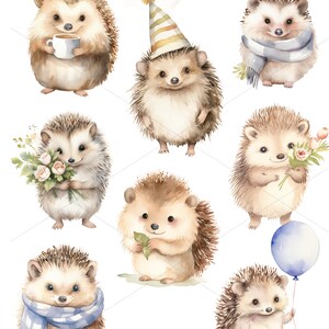 Watercolor Hedgehog Clipart Set, Cute Animals (digital Download) - Etsy