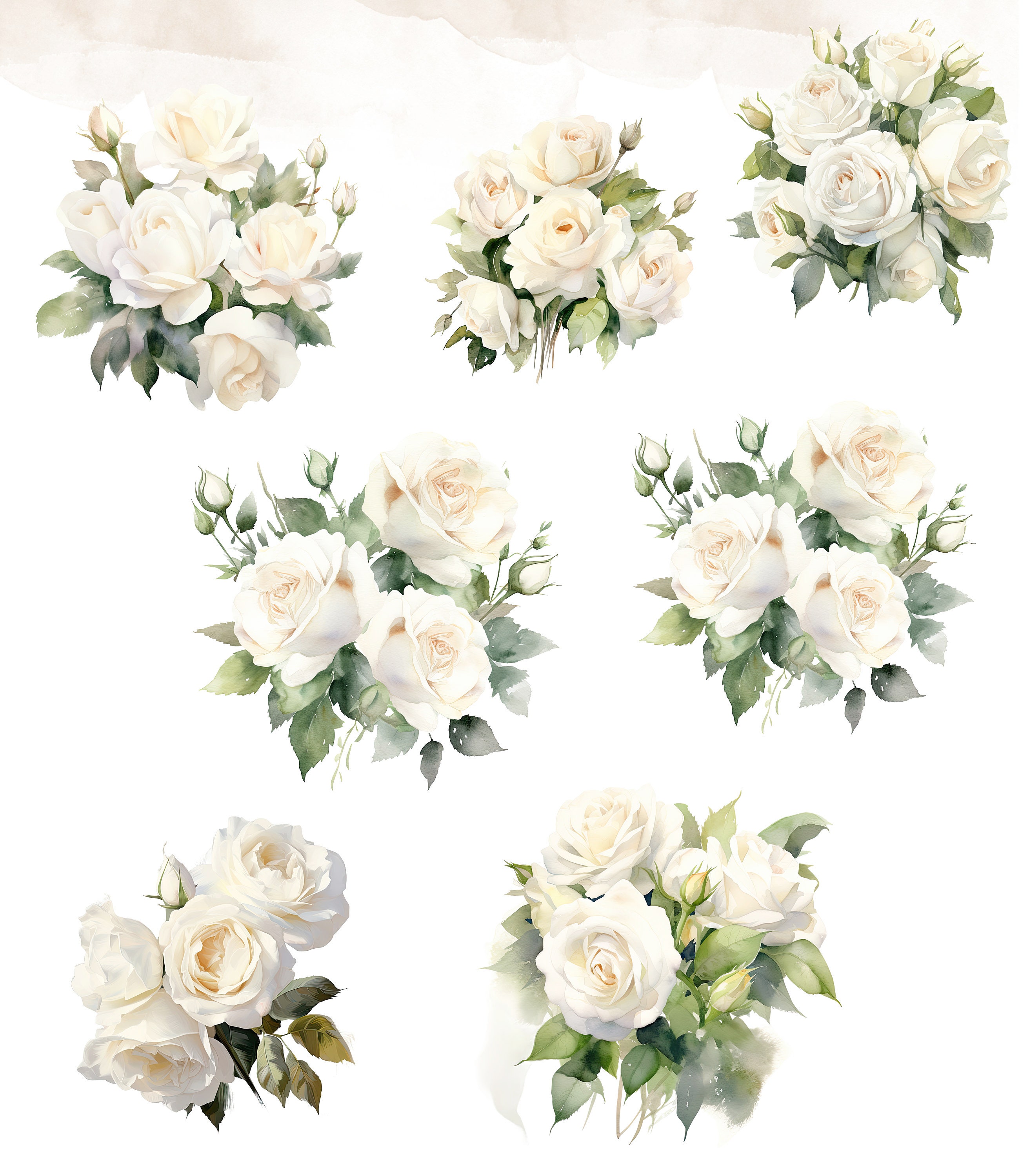 Watercolor White Roses Clipart Watercolor Roses Neutral Roses - Etsy