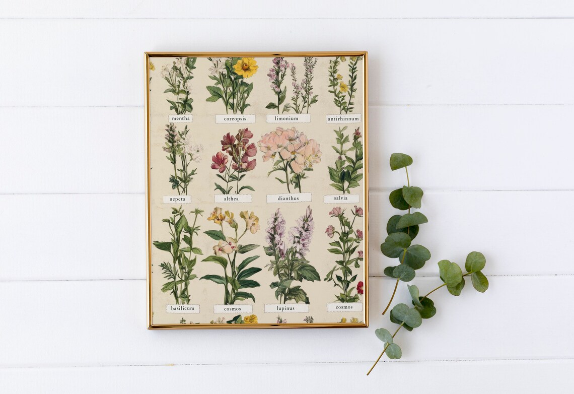 Botanical Floral Background Seamless File Plant Lovers Seamless Pattern ...