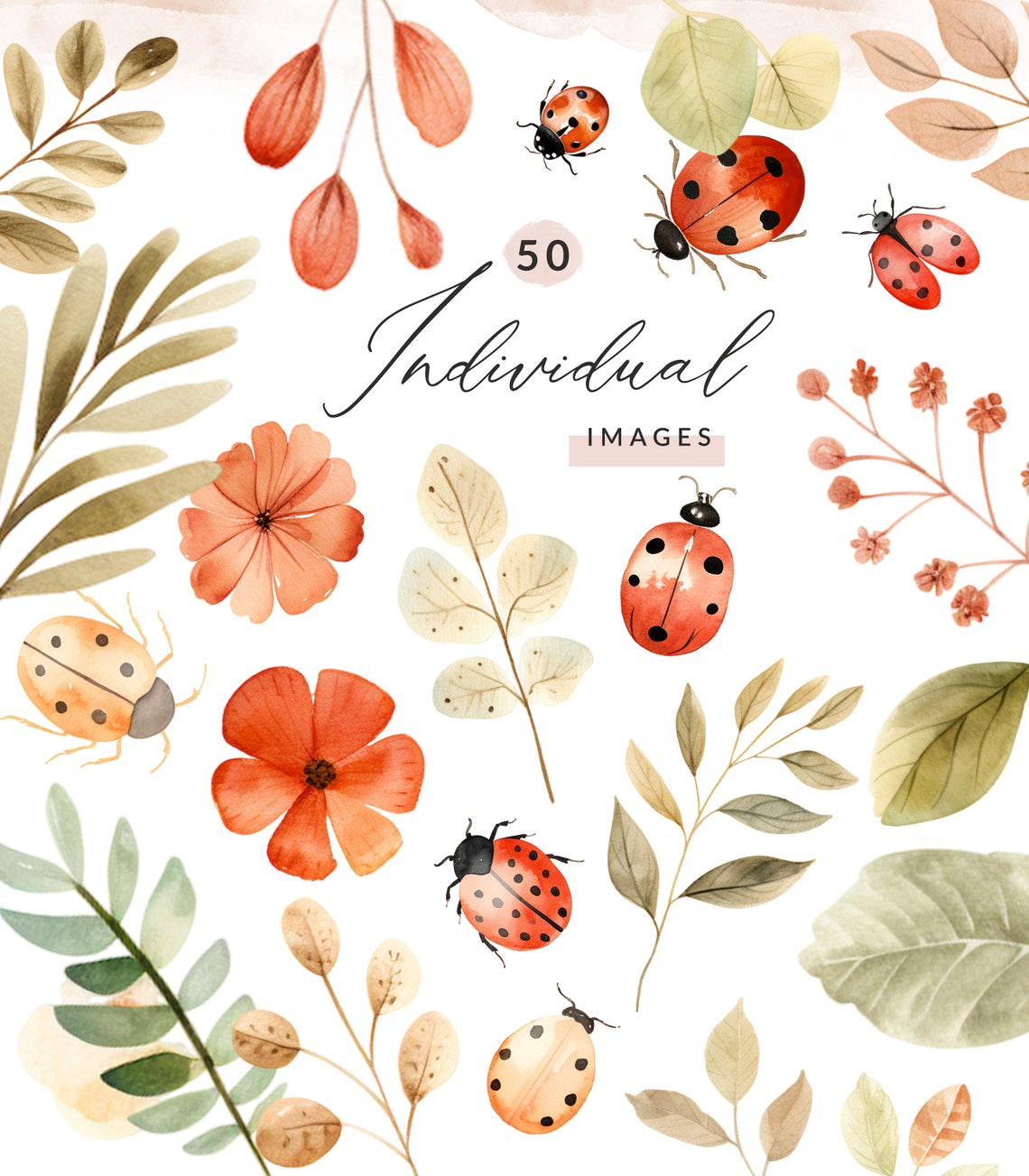 50 Watercolor Ladybug Clipart, Boho Ladybug Clipart, Painted Ladybug ...
