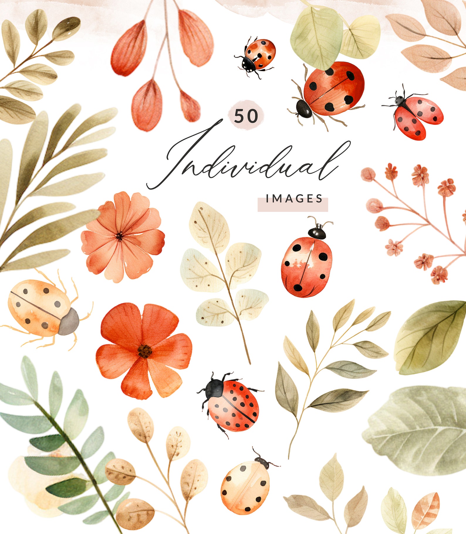 50 Watercolor Ladybug Clipart, Boho Ladybug Clipart, Painted Ladybug ...