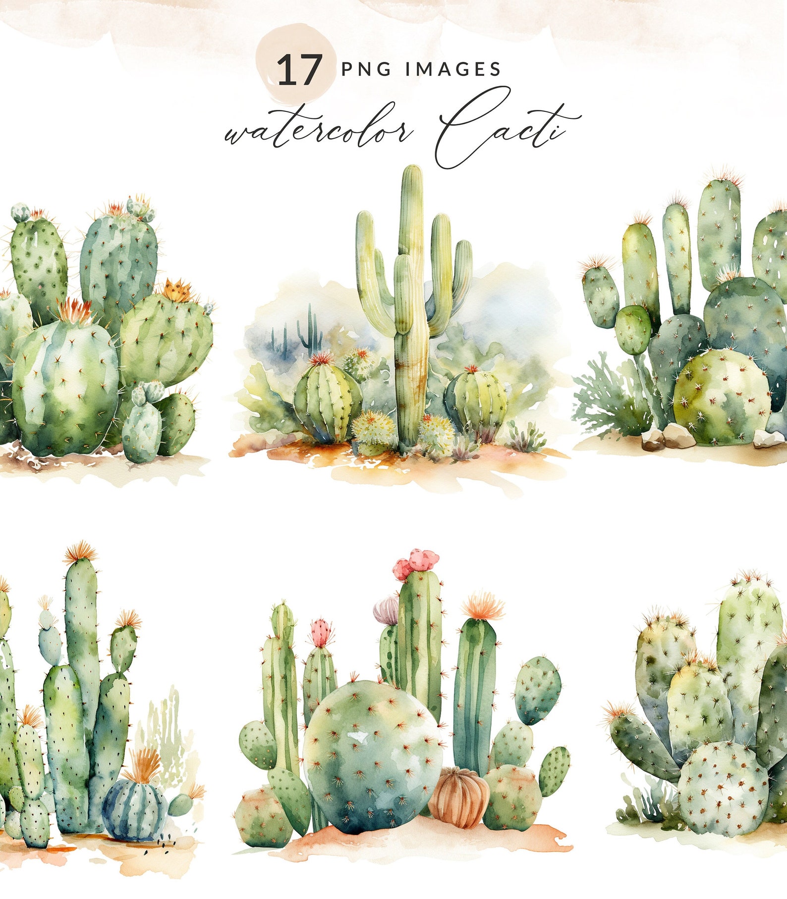 Watercolor Desert Clipart, Painted Cactus Clipart, Watercolor Cactus ...