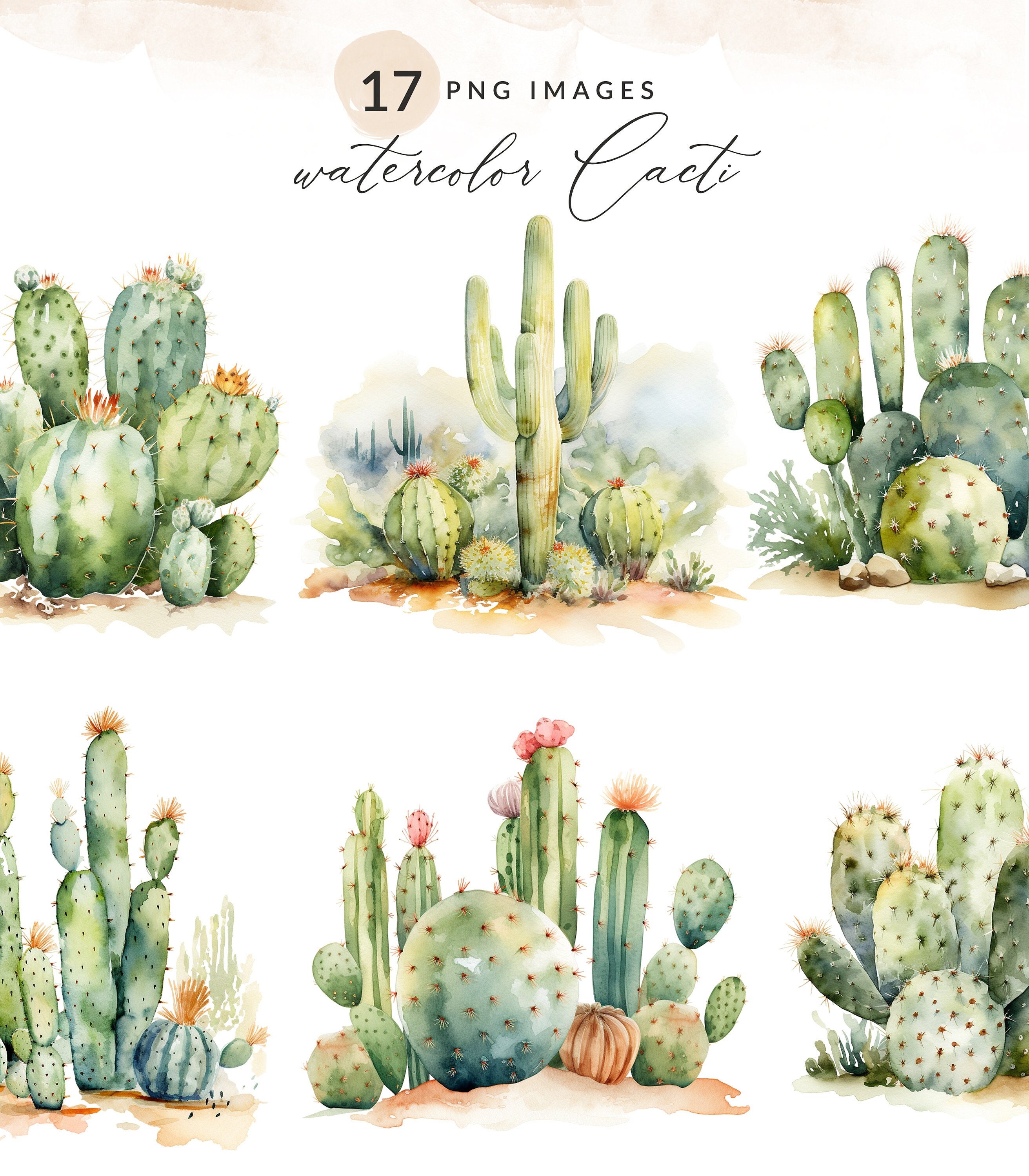 Watercolor Desert Clipart, Painted Cactus Clipart, Watercolor Cactus ...