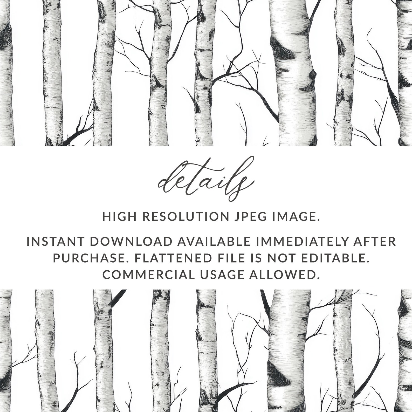 Birch Tree Seamless Pattern White Trees Aspen Tree Pattern Background ...