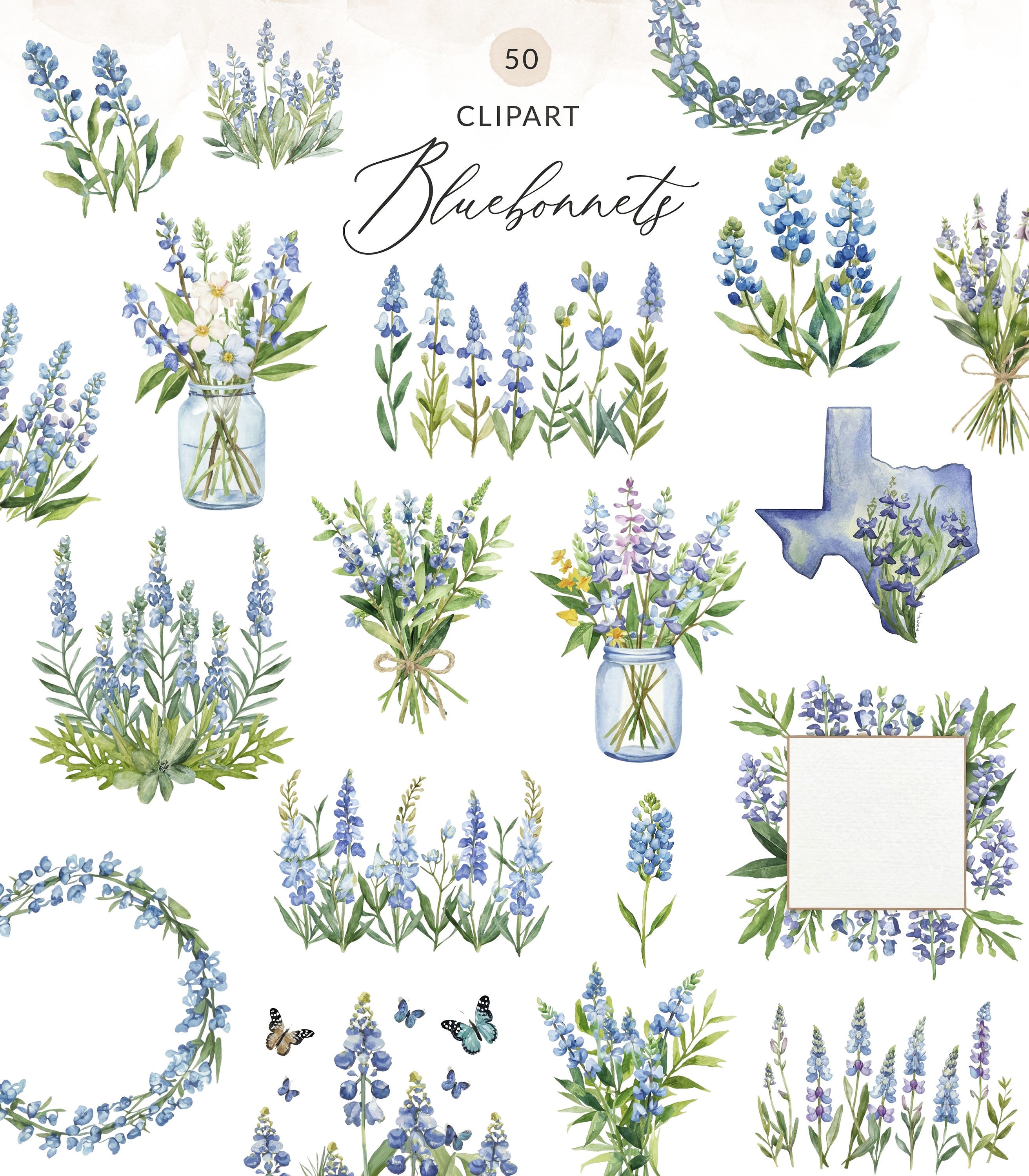 Watercolor Bluebonnet Clipart, Cute Bluebonnet Clipart, Bluebonnet PNG ...