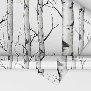 Birch Tree Seamless Pattern White Trees Aspen Tree Pattern Background ...