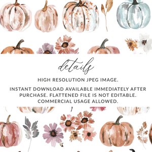 Boho Pumpkins Watercolor Pattern, Neutral Pumpkin Seamless Pattern ...