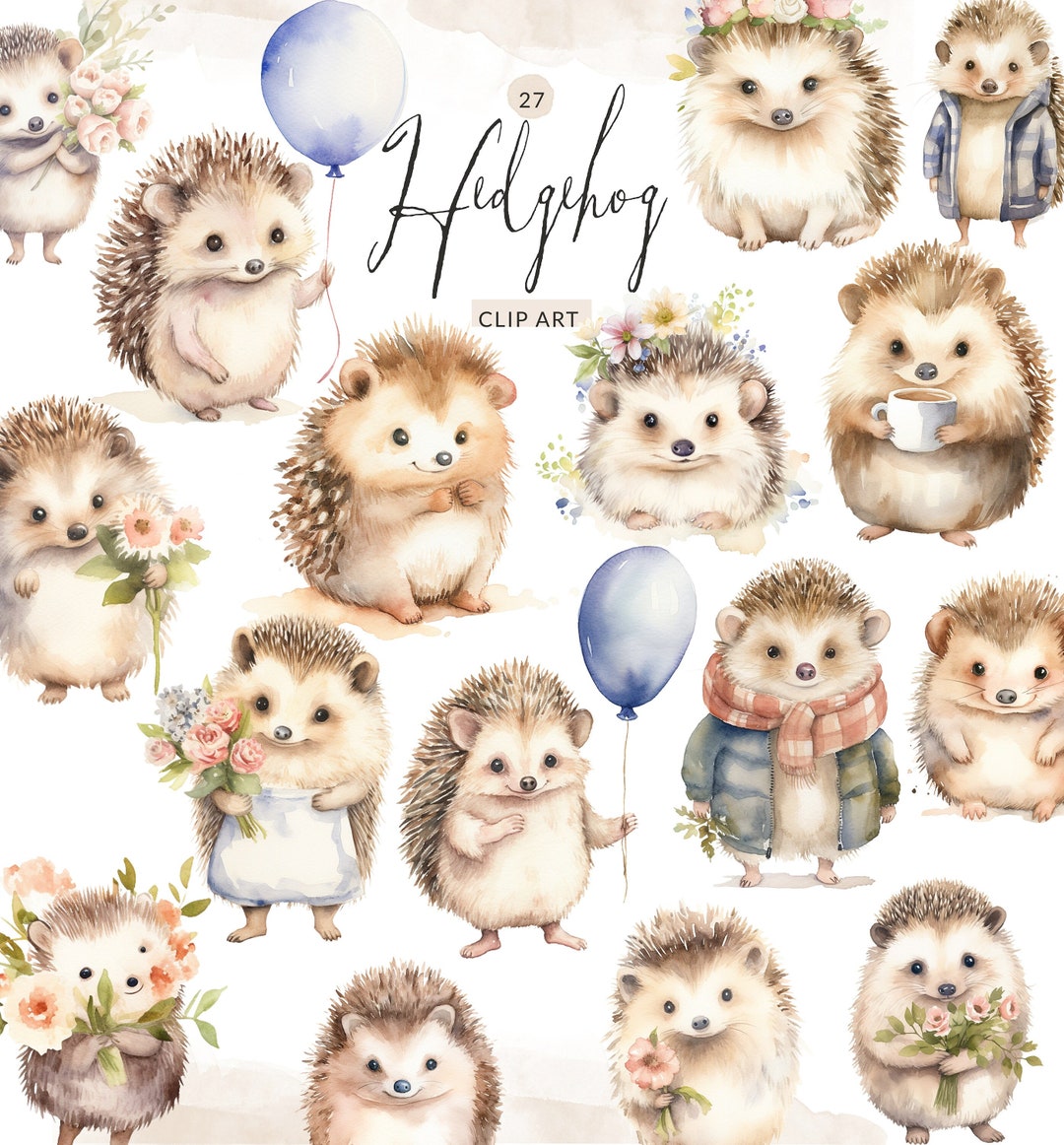 Watercolor Hedgehog Clipart, Cute Hedgehog PNG, Baby Hedgehog Clipart ...
