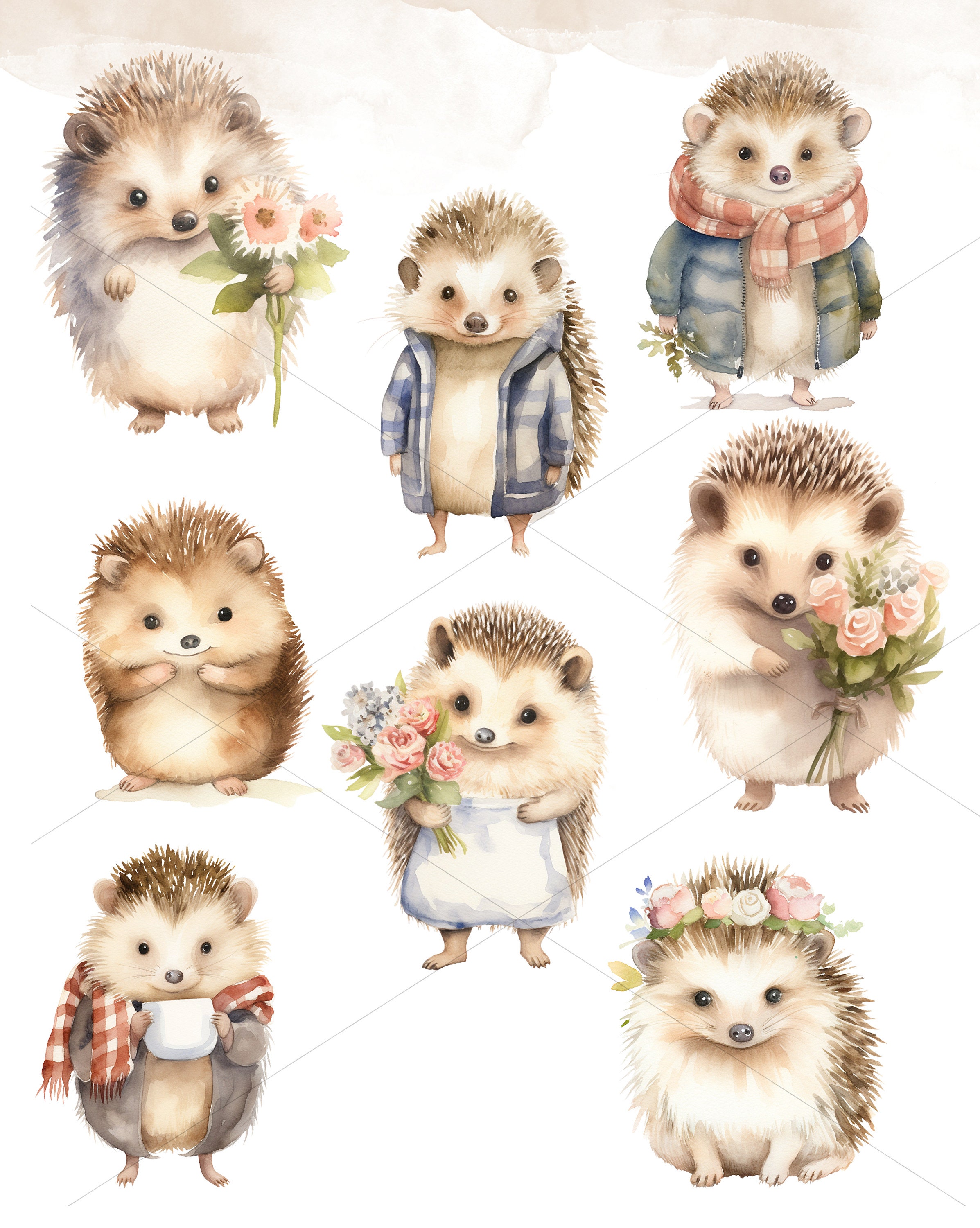 Watercolor Hedgehog Clipart, Cute Hedgehog PNG, Baby Hedgehog Clipart ...