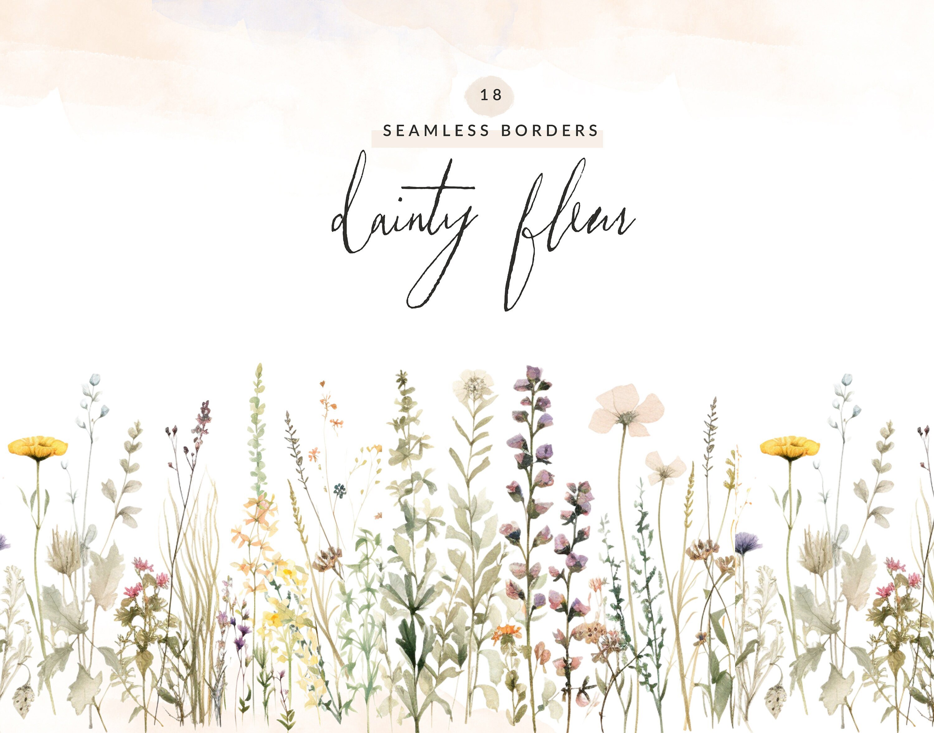 Dainty Wildflower Borders, Boho Wildflower Borders, Field Flowers ...