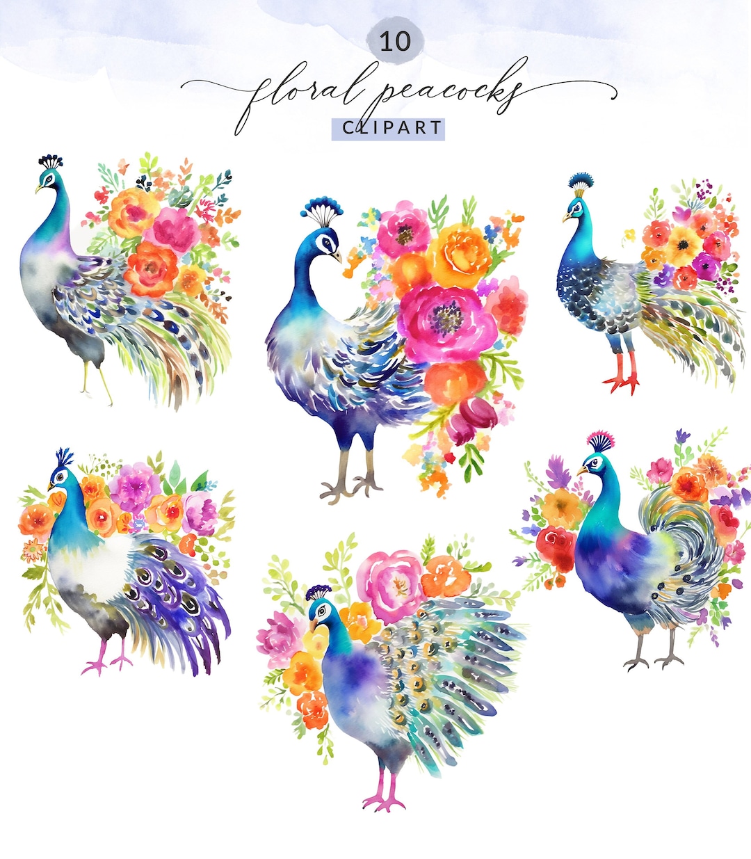 Painted Peacocks Clipart, Floral Peacocks Clipart, Watercolor Peacocks ...