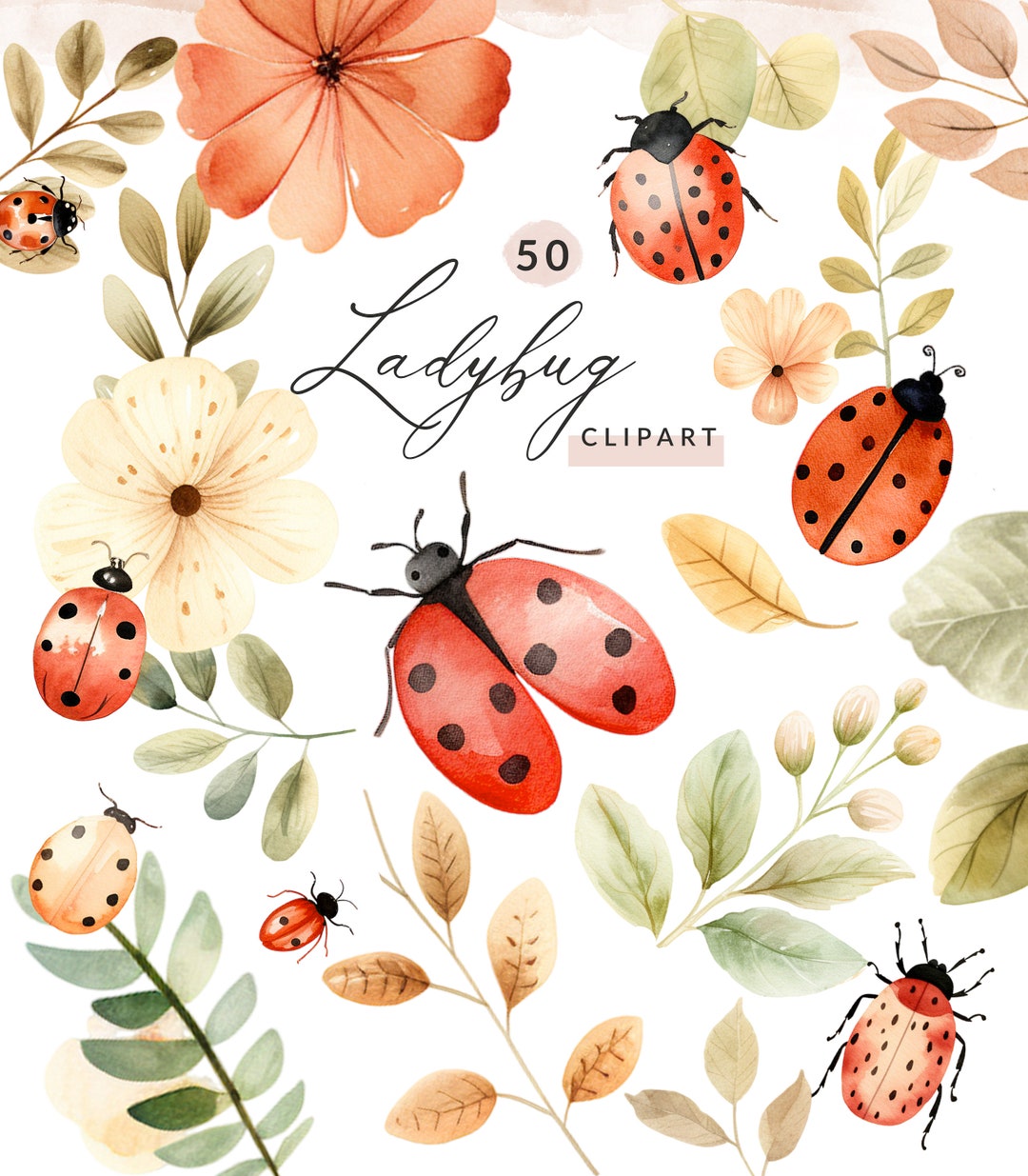 50 Watercolor Ladybug Clipart, Boho Ladybug Clipart, Painted Ladybug ...