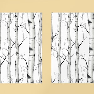 Birch Tree Seamless Pattern White Trees Aspen Tree Pattern Background ...