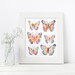 Watercolor Butterfly Clipart, Boho Gouache Butterfly Clipart, Butterfly ...
