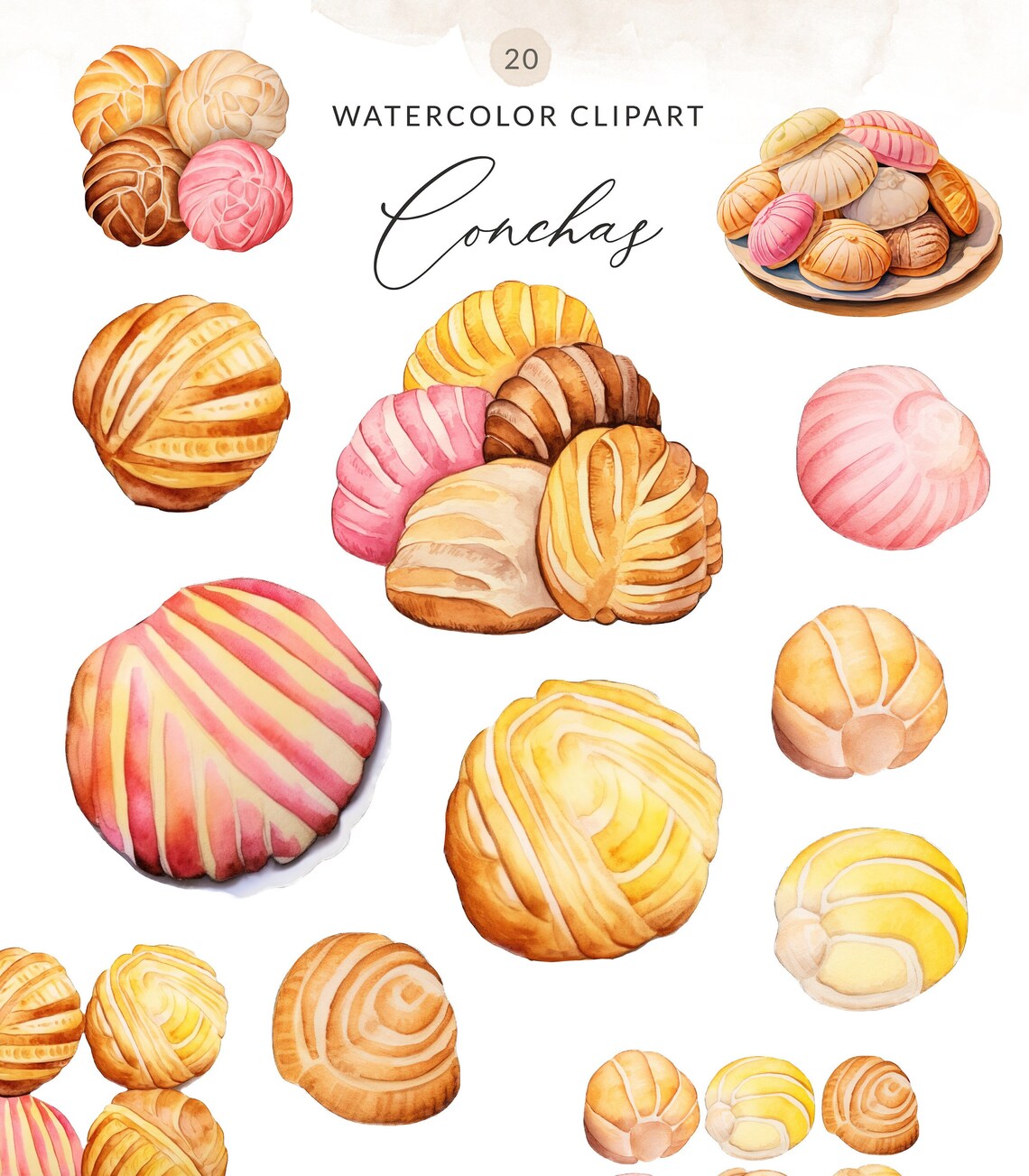 20 Watercolor Conchas Clipart, Pan Dulce, Cute Concha Bread Clip Art ...