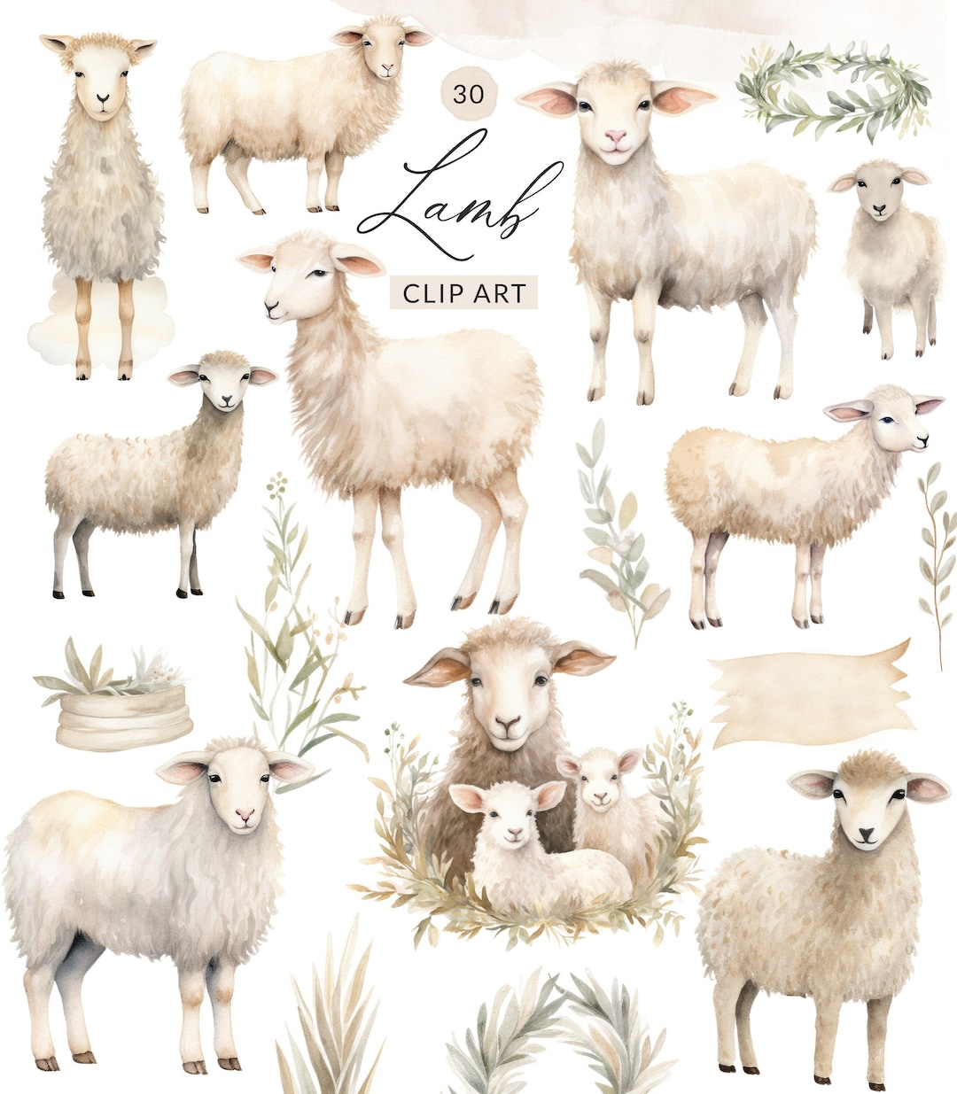 30 Watercolor Lamb Clipart, Lamb PNG, Cute Lamb Clip Art PNG Clipart ...