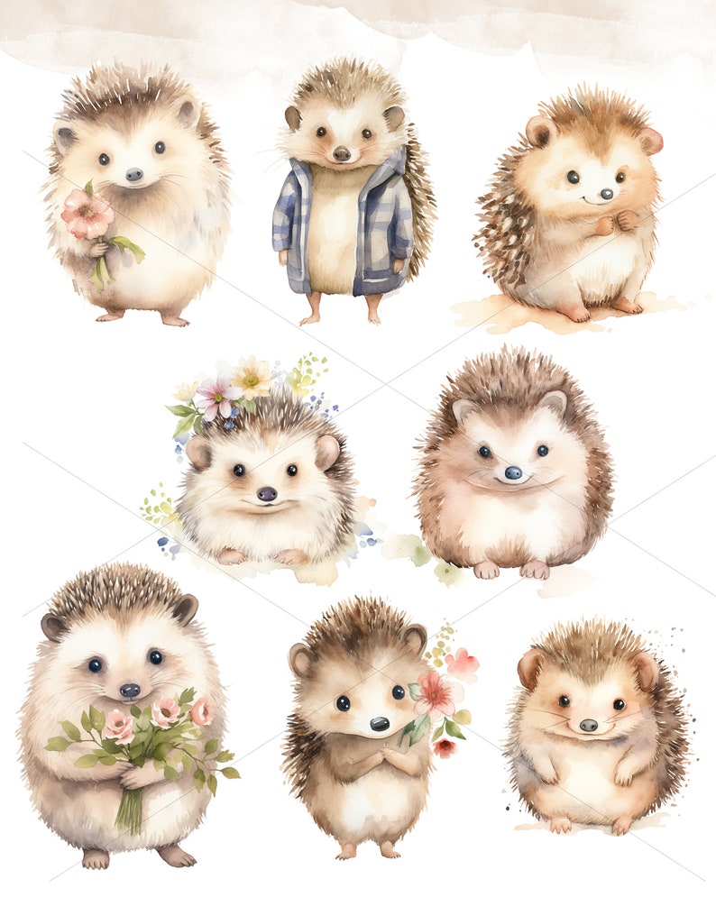 Watercolor Hedgehog Clipart, Cute Hedgehog PNG, Baby Hedgehog Clipart ...