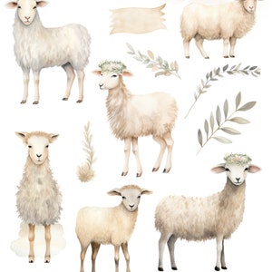 30 Watercolor Lamb Clipart, Lamb PNG, Cute Lamb Clip Art PNG Clipart ...