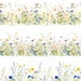 Field Floral Border Clipart, Floral Meadow Clipart, Daisy Clipart ...