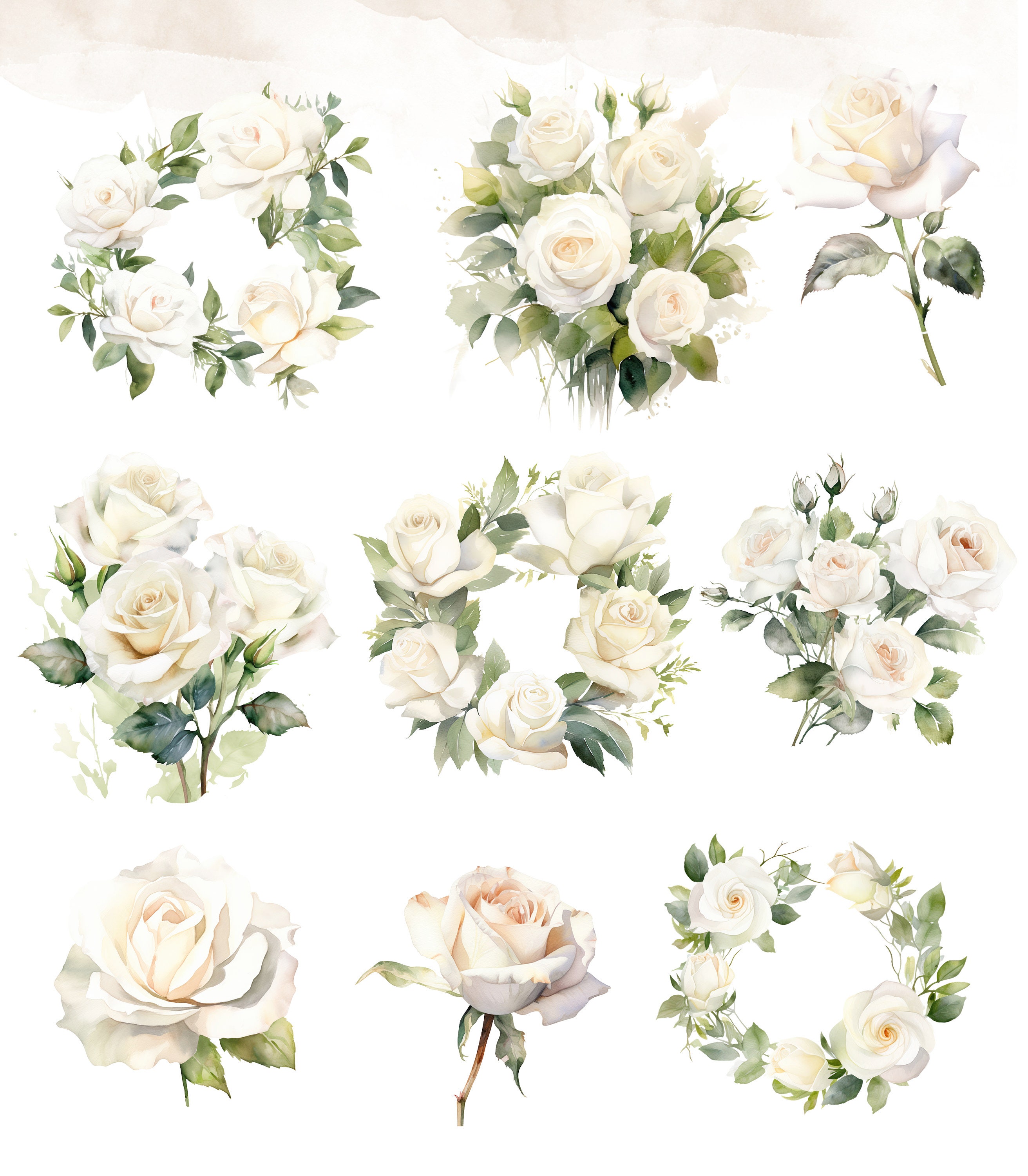 Watercolor White Roses Clipart Watercolor Roses Neutral Roses - Etsy